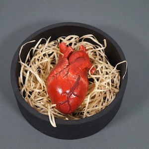 Human Heart Sculpture, Realistic Heart Valentines Gift - Etsy