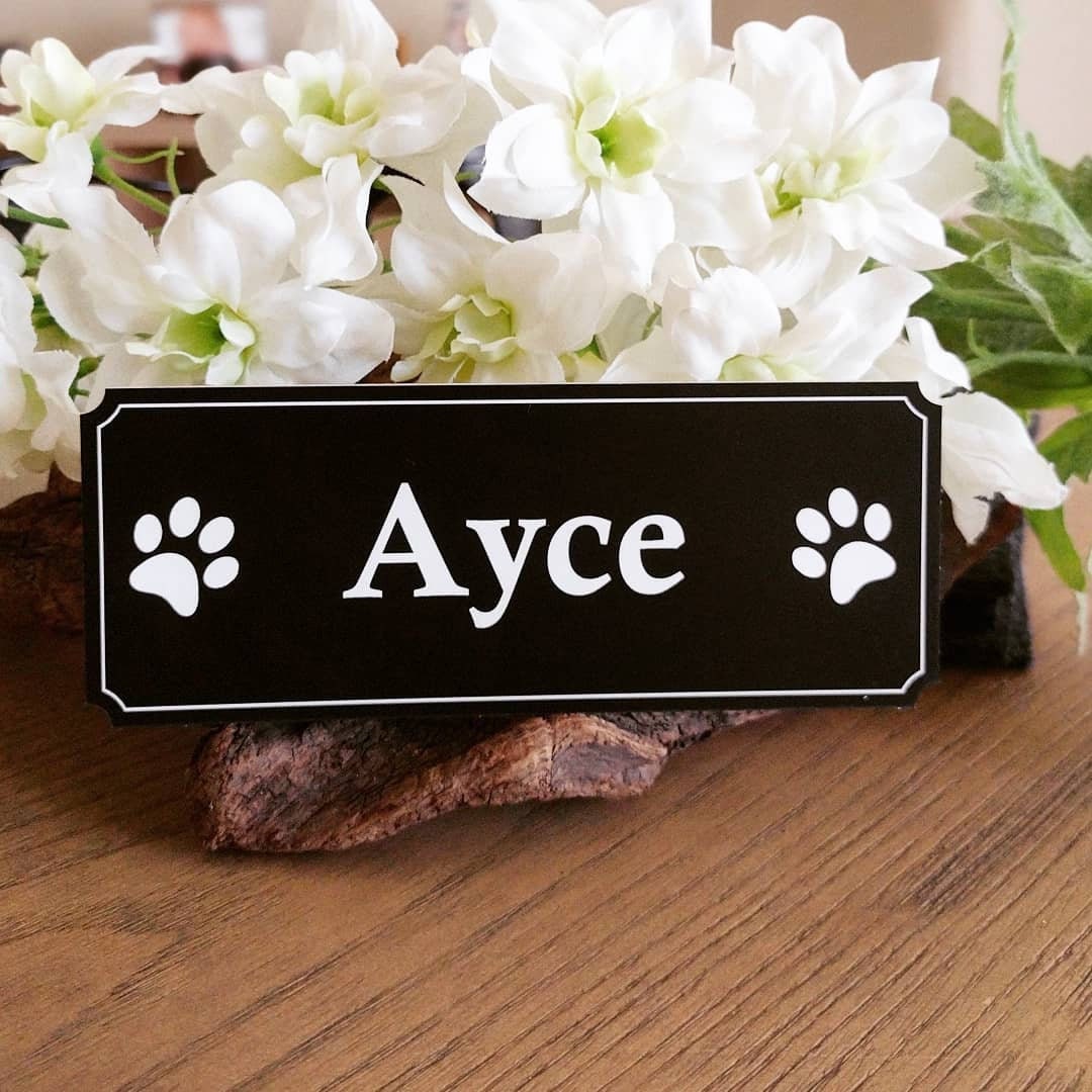 Adhesive Pet Name Plaque Sign Kennel Guard Dogs Sign Adhesive Brown ...