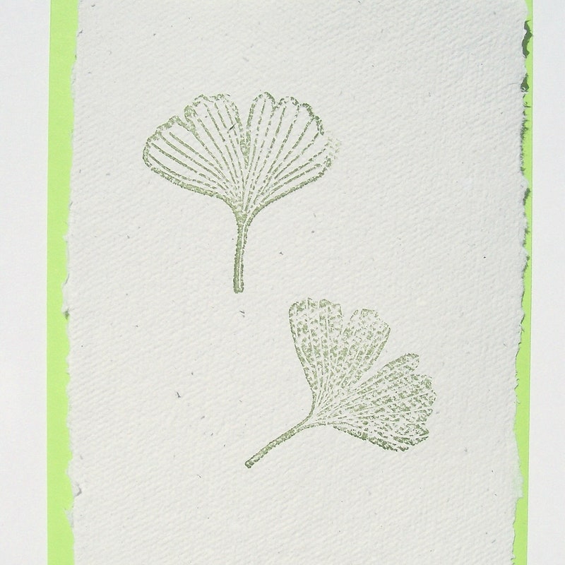 Deckle Edge Postcard - Etsy