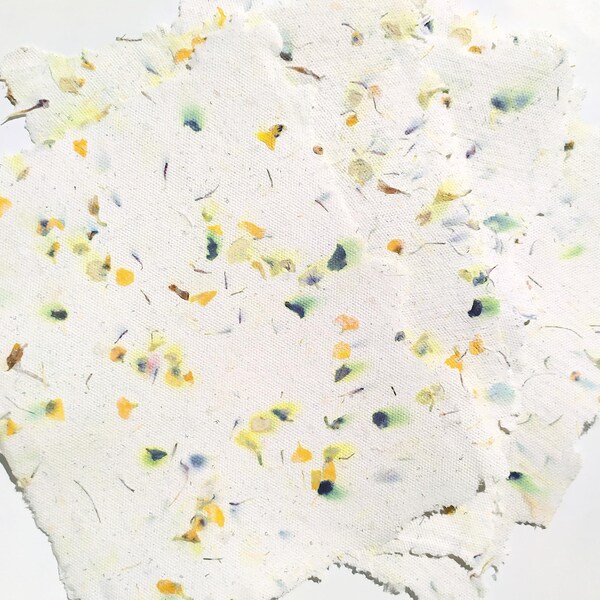 Flower Petal Paper - Etsy