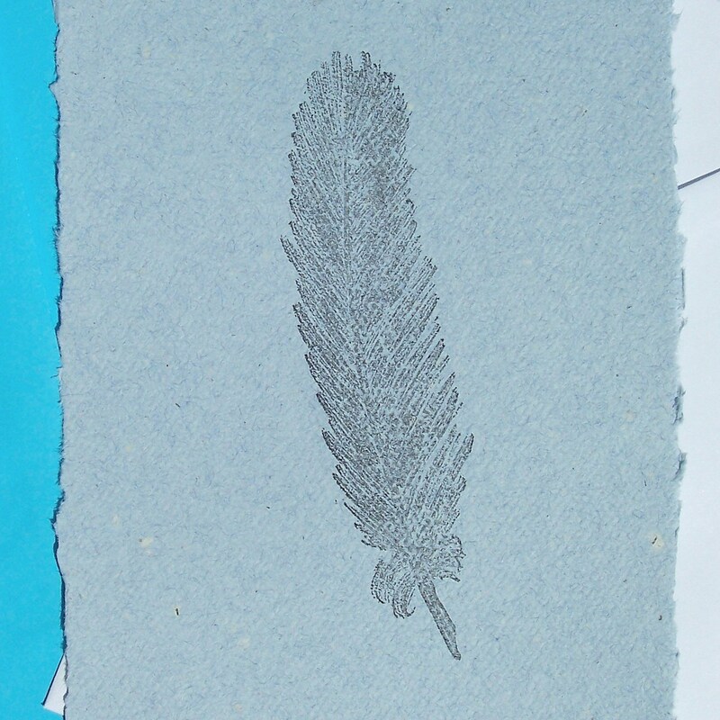 Deckle Edge Postcard - Etsy