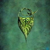 Japanese Randoseru Backpack in Black Women Japan Backpack Vegan Leather Backpack Laptop Backpack ...