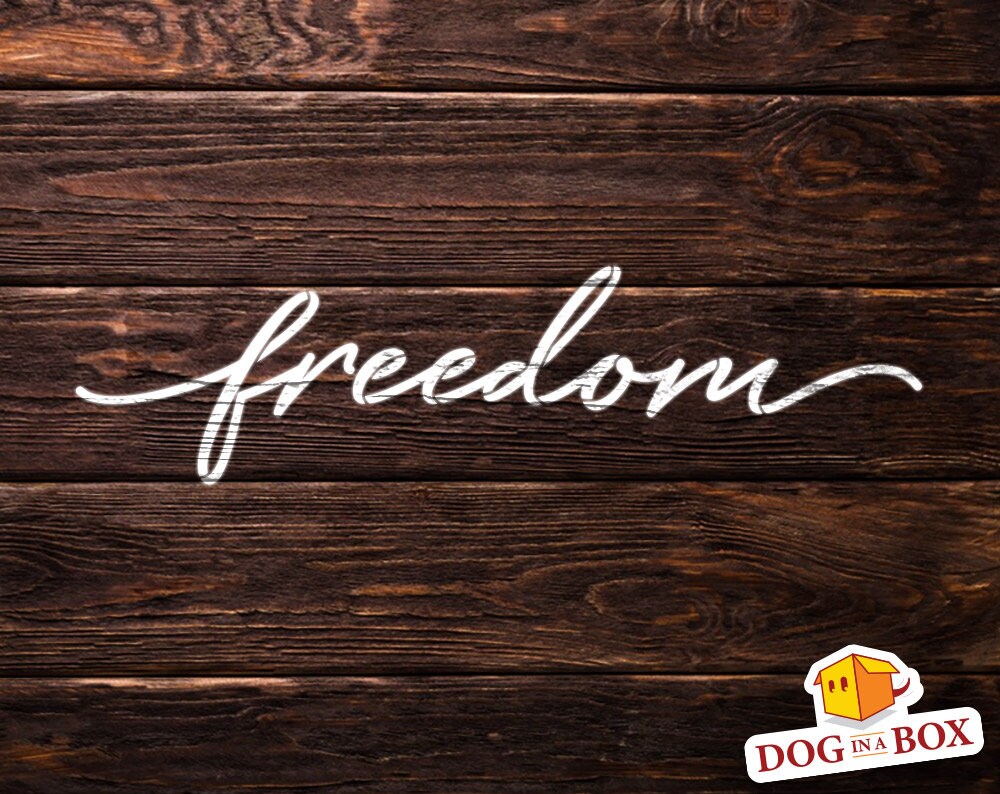 Freedom Stencil: Reusable Stencil for Painting on Fabrics, Wood, Walls ...