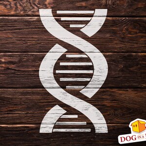 DNA Stencil N.1, DNA Spiral Helix Stencil, Medical Stencil, Stencil for ...