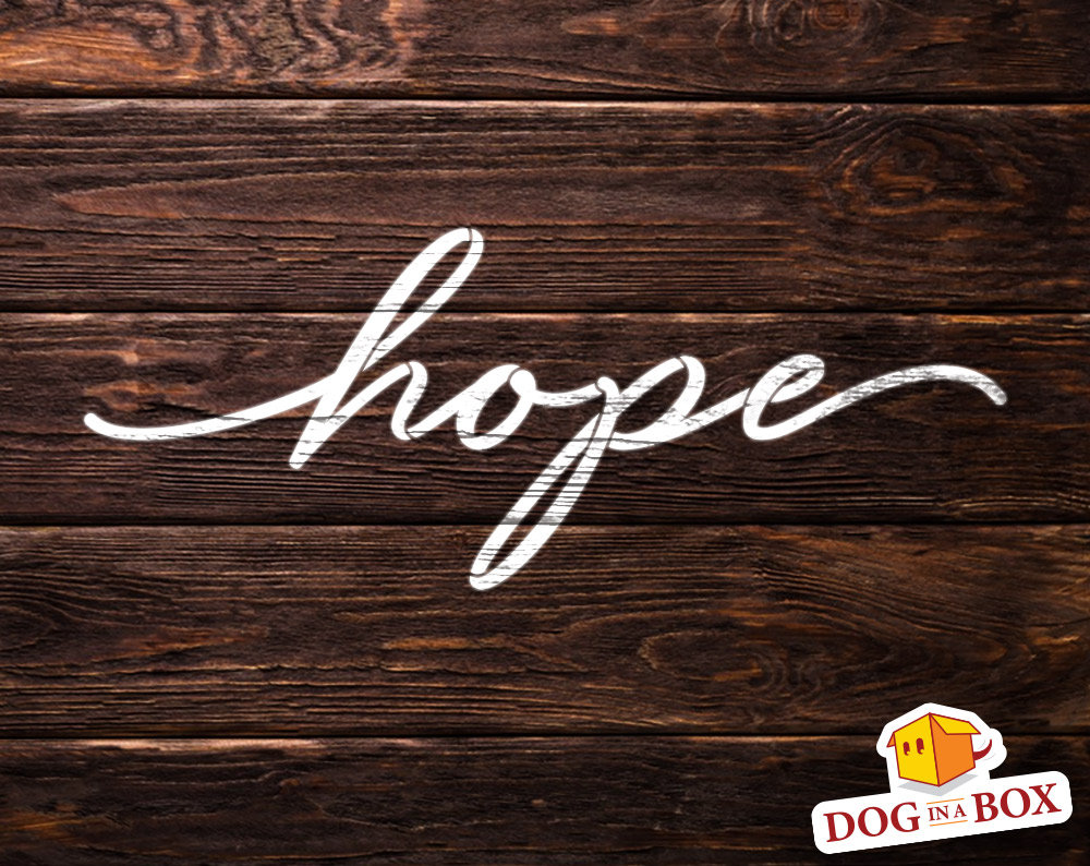 Hope Stencil Reusable Stencil for Wood Signs Fabrics and - Etsy