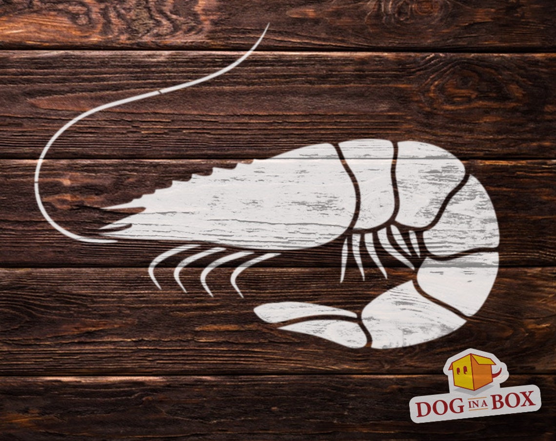Shrimp Stencil N.1 Sea Life Stencil Prawn Stencil Sea - Etsy