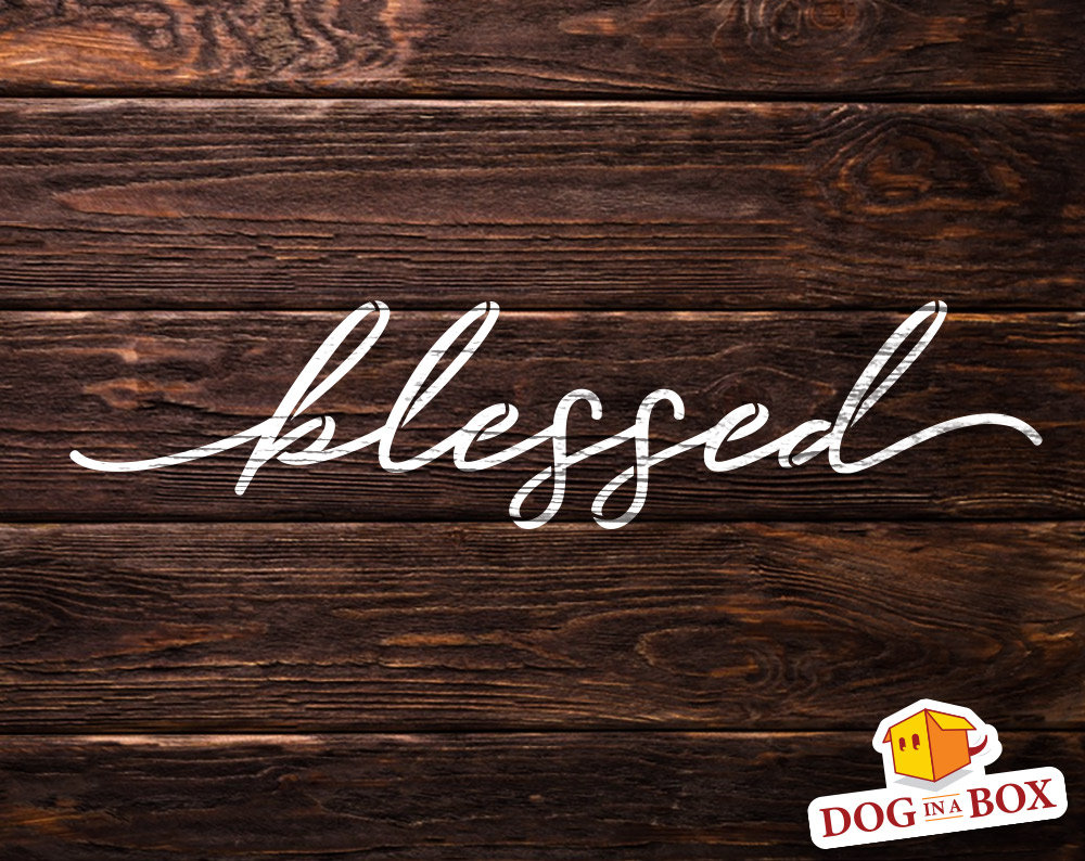 Blessed Stencil Reusable Stencil for Wood Signs Fabrics and | Etsy