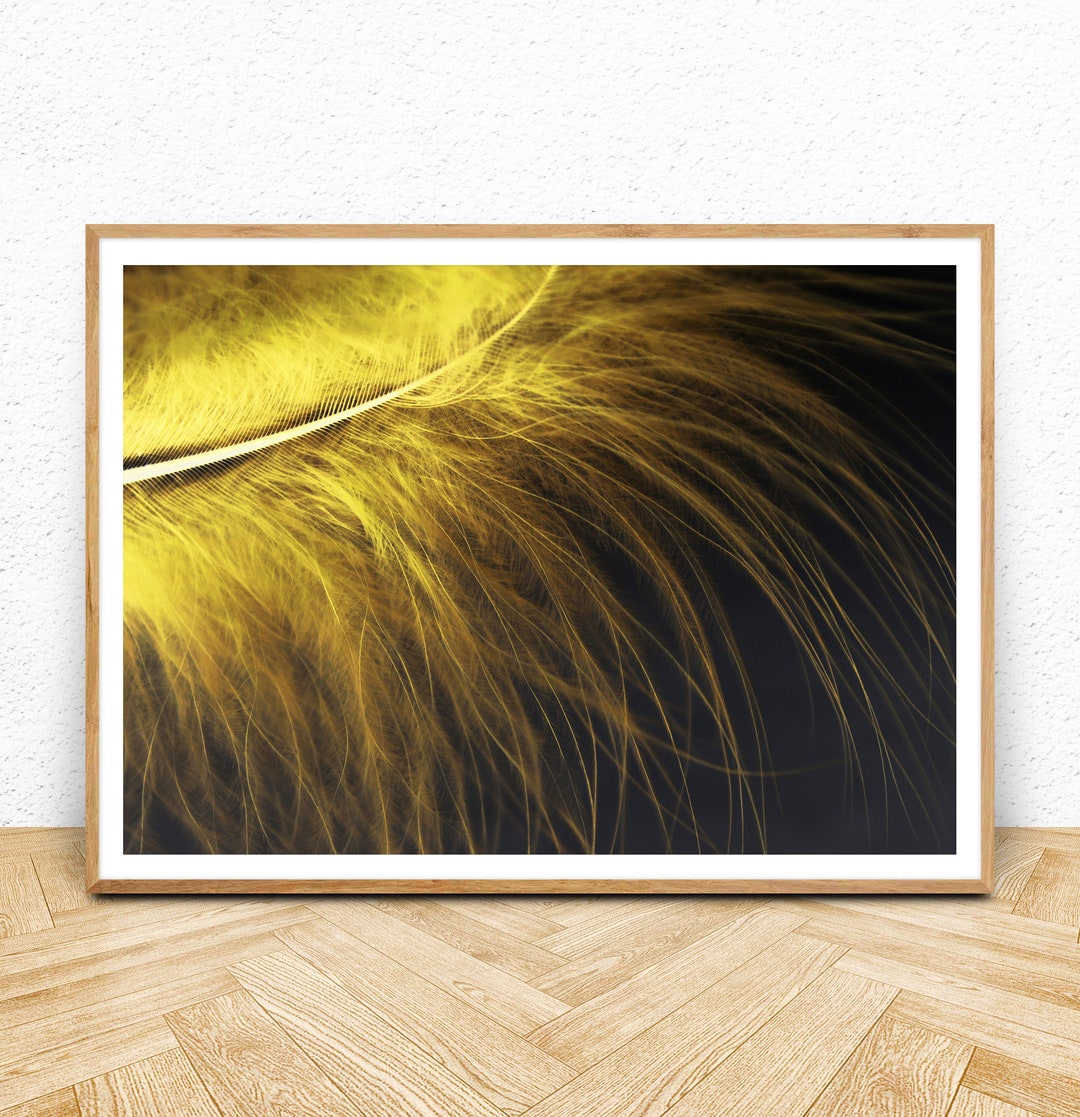 Feather Wall Art, Abstract Photography Print, Digital Download, Yellow ...