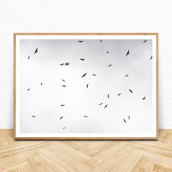 Flying Bird Print - Etsy