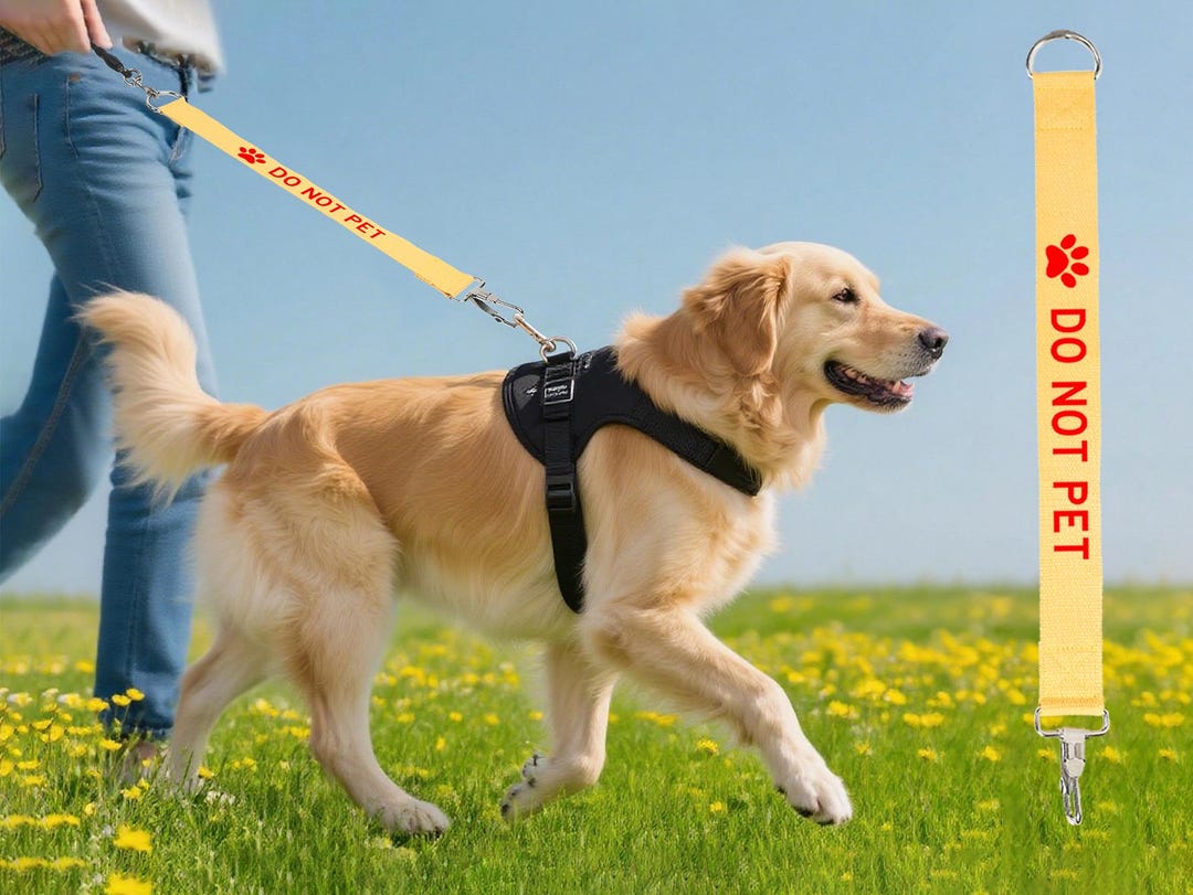 Personalized Dog Leash Tag:durable Pet Leash Extension Supplies - Etsy UK