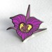Mariposa Lily Enamel Pin / Wildflower Botanical Illustration Lapel ...