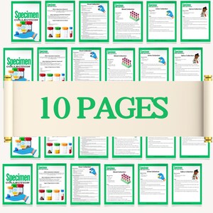 Specimen Collection Printable - Etsy