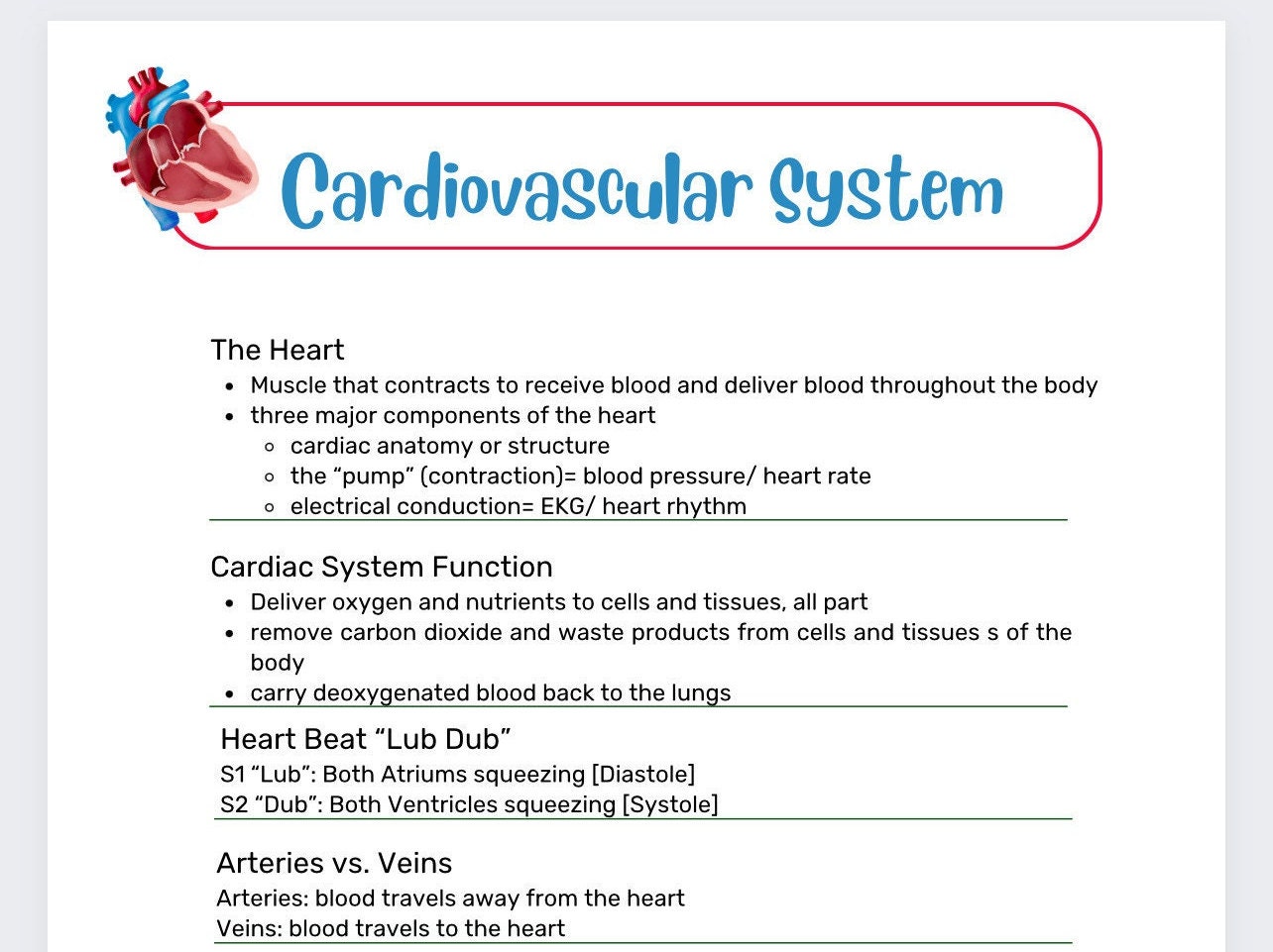Comprehensive Cardiac Anatomy Printable Set - Etsy