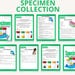 Specimen Collection Printable - Etsy
