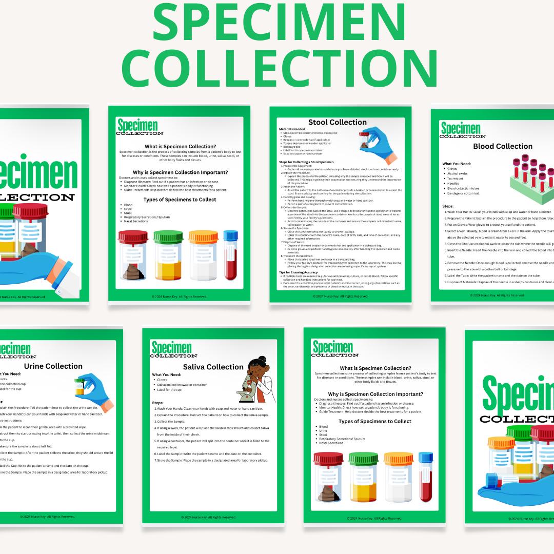 Specimen Collection Printable - Etsy