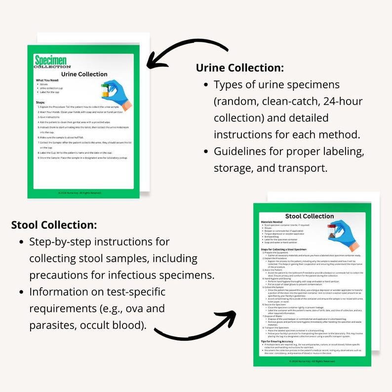 Specimen Collection Printable - Etsy