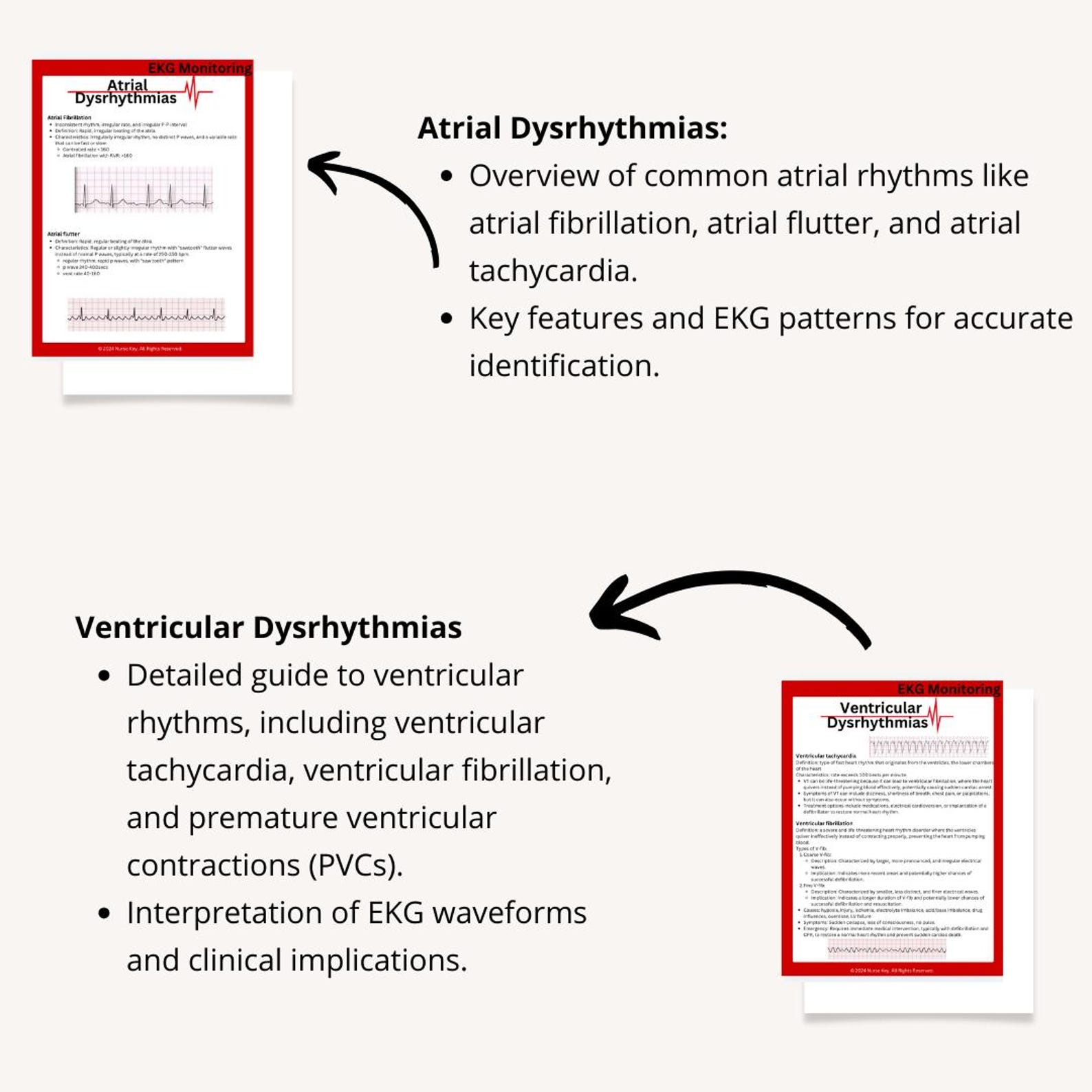 EKG Basics Printable - Etsy