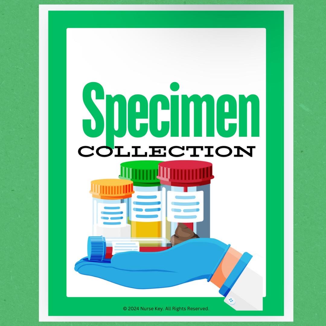 Specimen Collection Printable - Etsy
