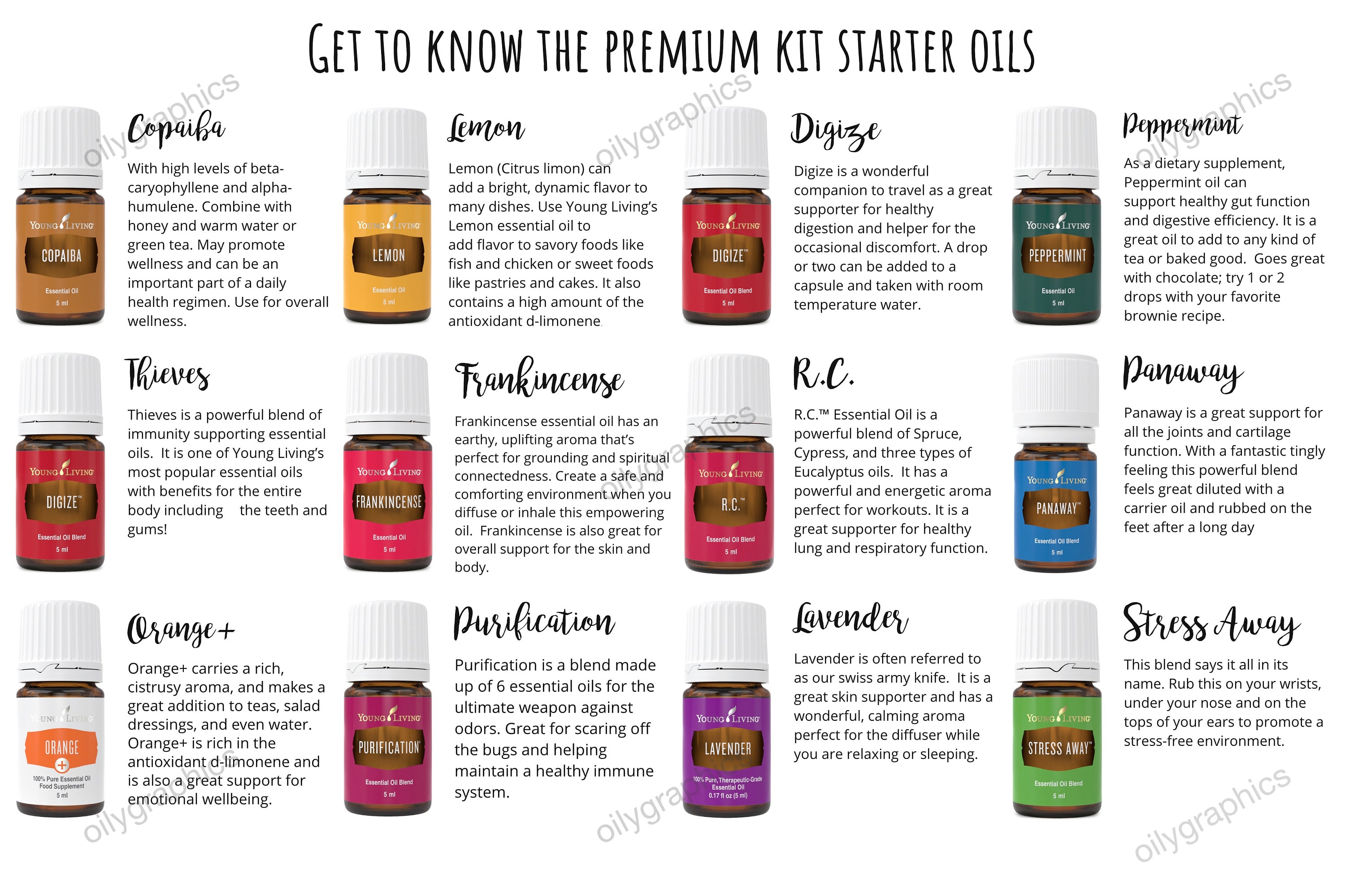 Young Living Premium Starter Kit Flyer - Personalized Europe - Etsy