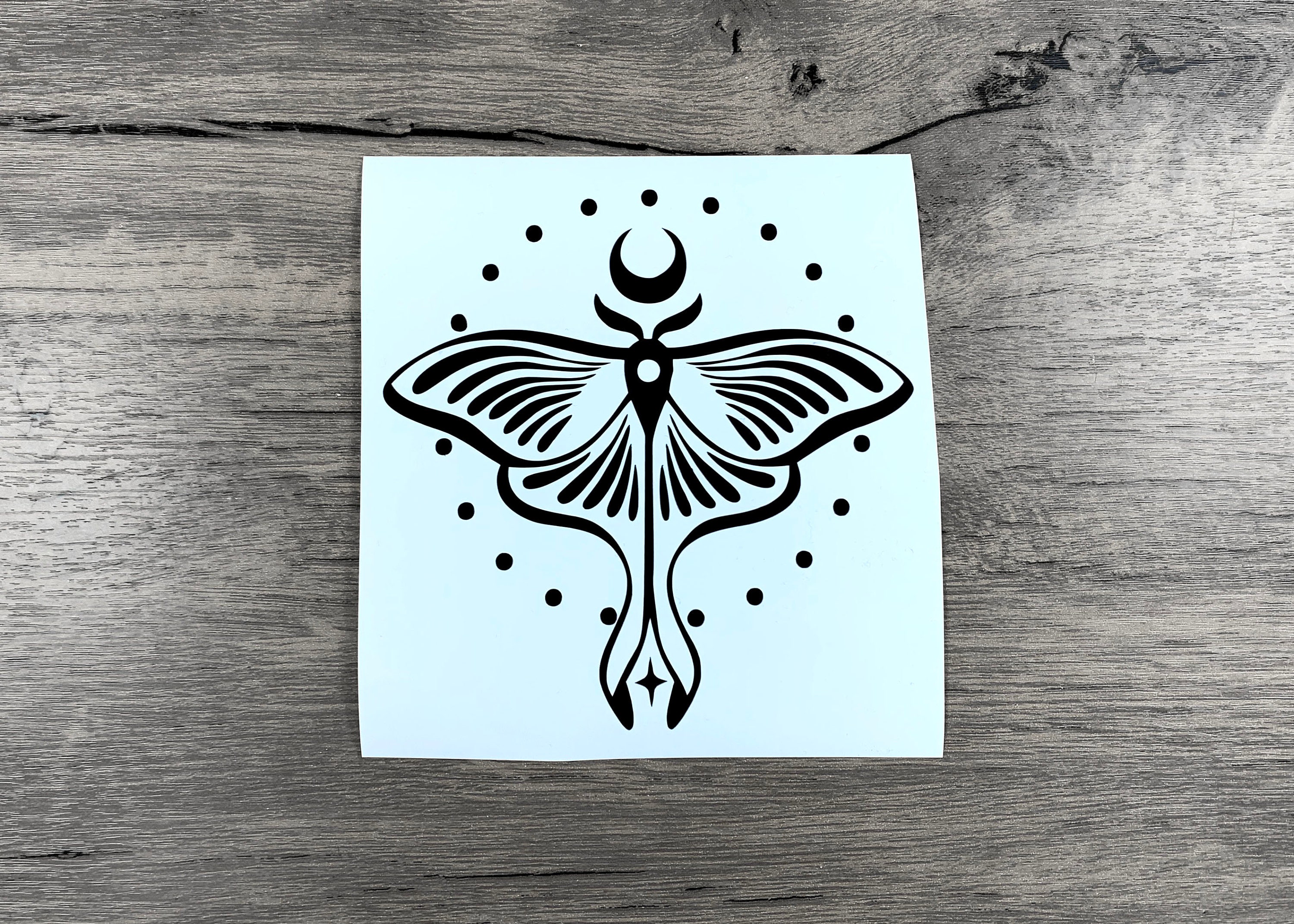 Moth Decal - Etsy