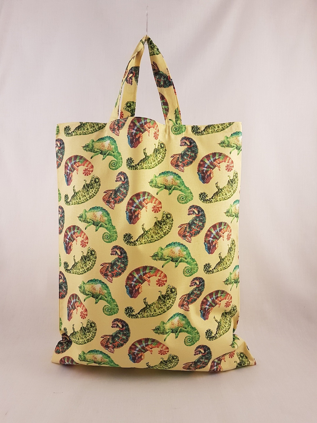 Fabric Bag chameleon Extra Large Fabric Bag 41 X 33 Cm - Etsy
