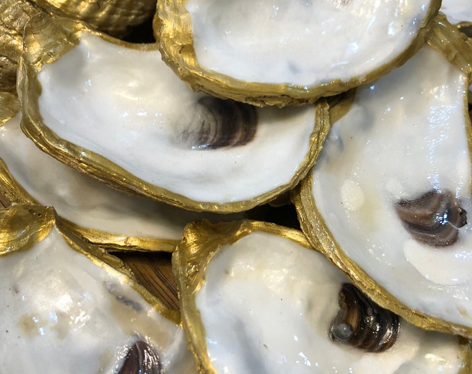 Bakers Dozen Gold Oyster Shell 13 Gold Rimmed Oyster Shells - Etsy