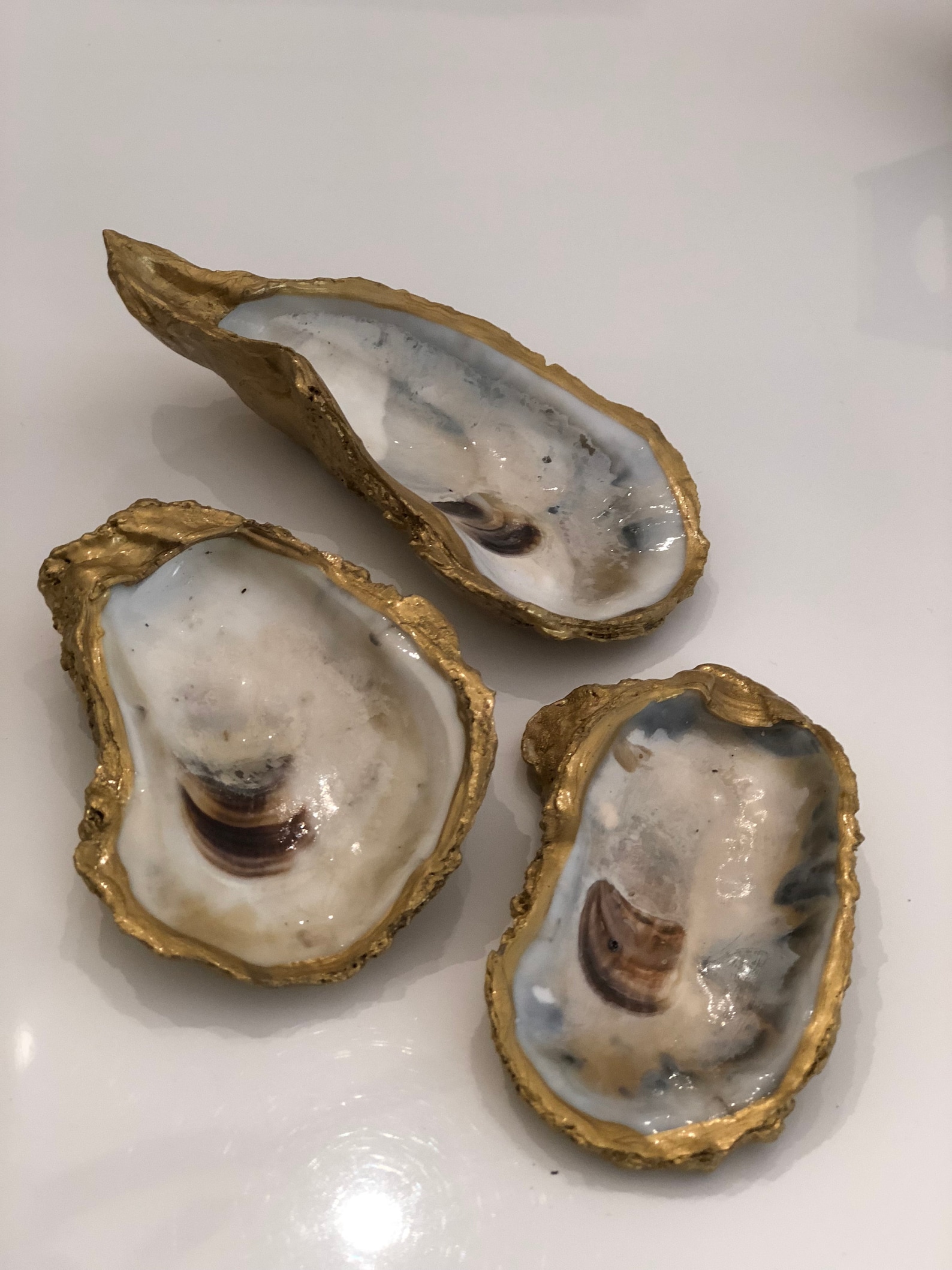 50 Gold Rimmed With Backs Painted, Laquered Oyster Shells - Etsy