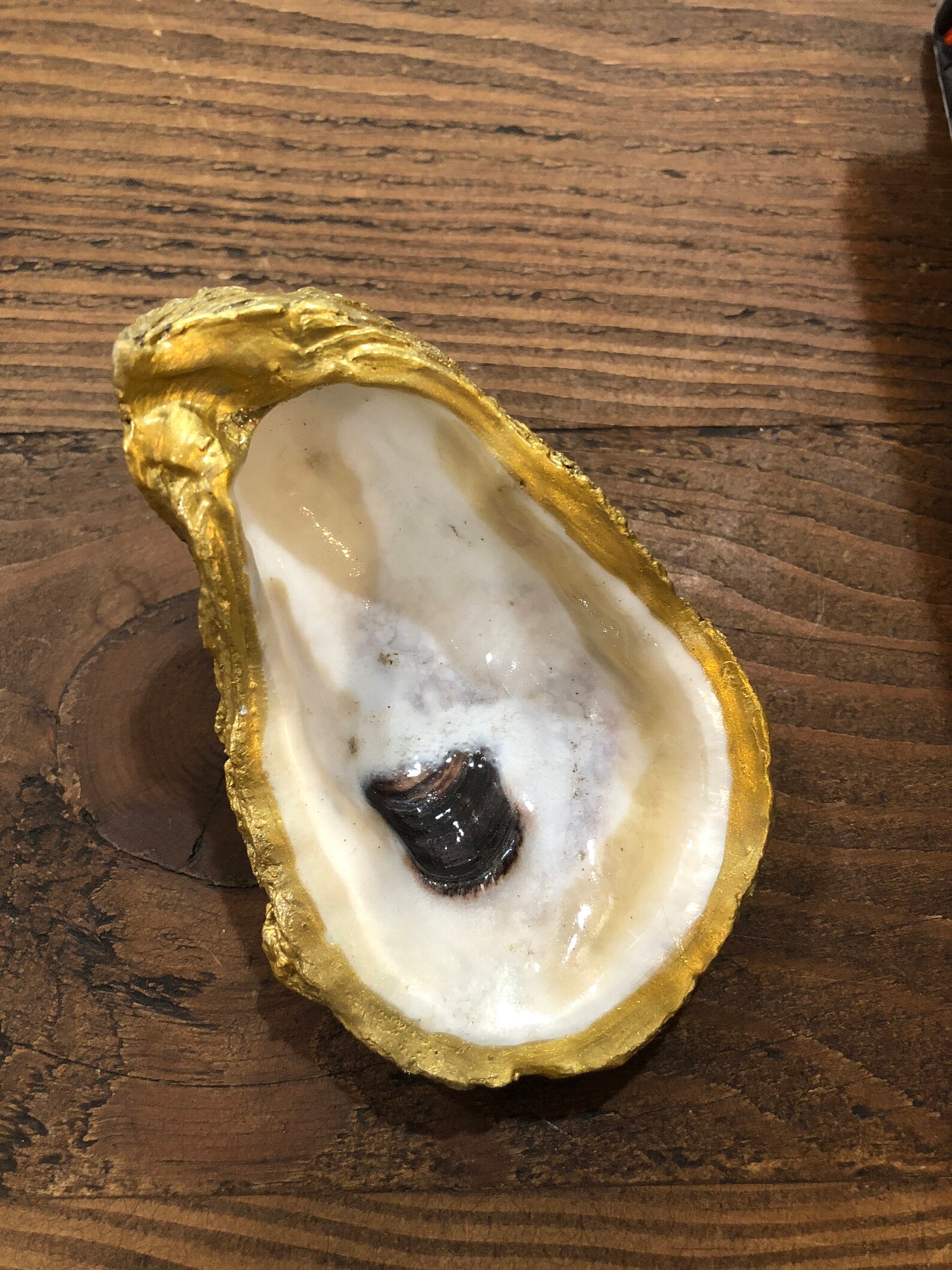 Oyster Shell Gilded Gold Oyster Shell Lacquered Oyster - Etsy