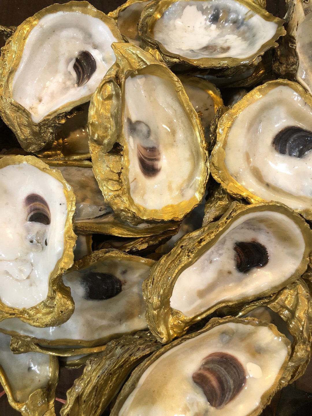 Oyster Shell, Gilded Gold Oyster Shell, Lacquered Oyster Shell,oyster ...