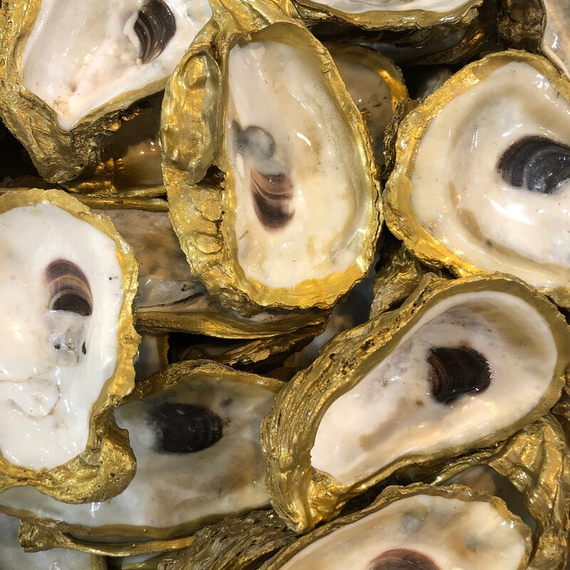 Oyster - Etsy