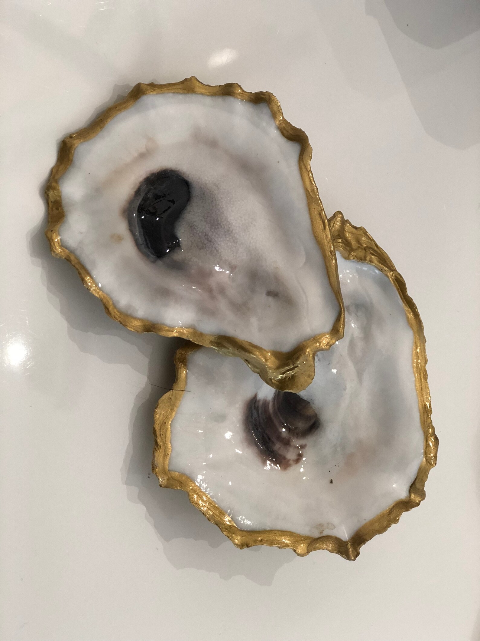 50 Gold Rimmed With Backs Painted, Laquered Oyster Shells - Etsy