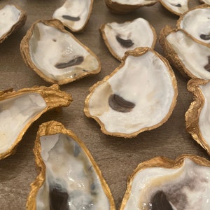 Bakers Dozen Gold Oyster Shell, 13 Gold Rimmed Oyster Shells - Etsy