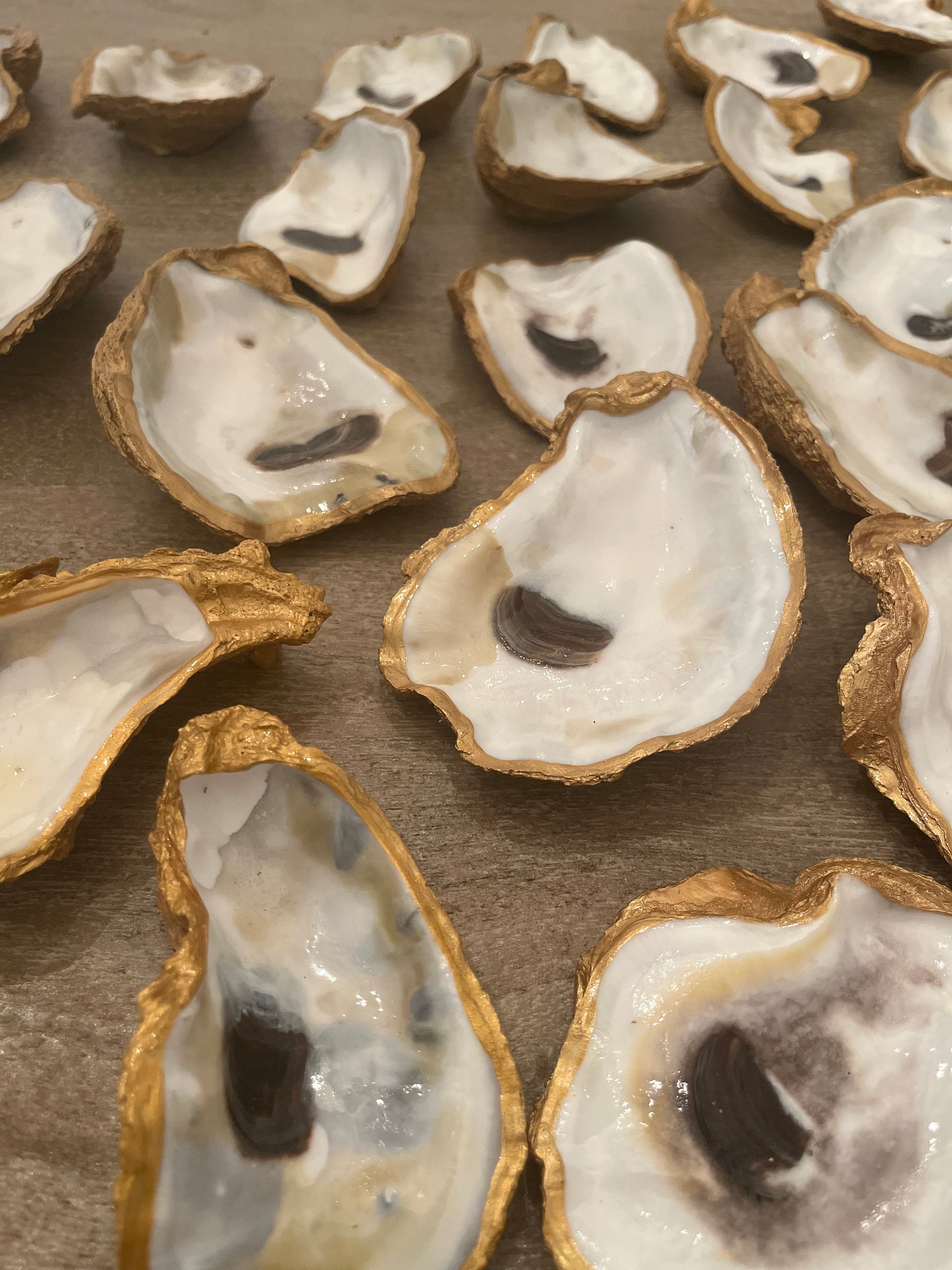 Bakers Dozen Gold Oyster Shell, 13 Gold Rimmed Oyster Shells - Etsy
