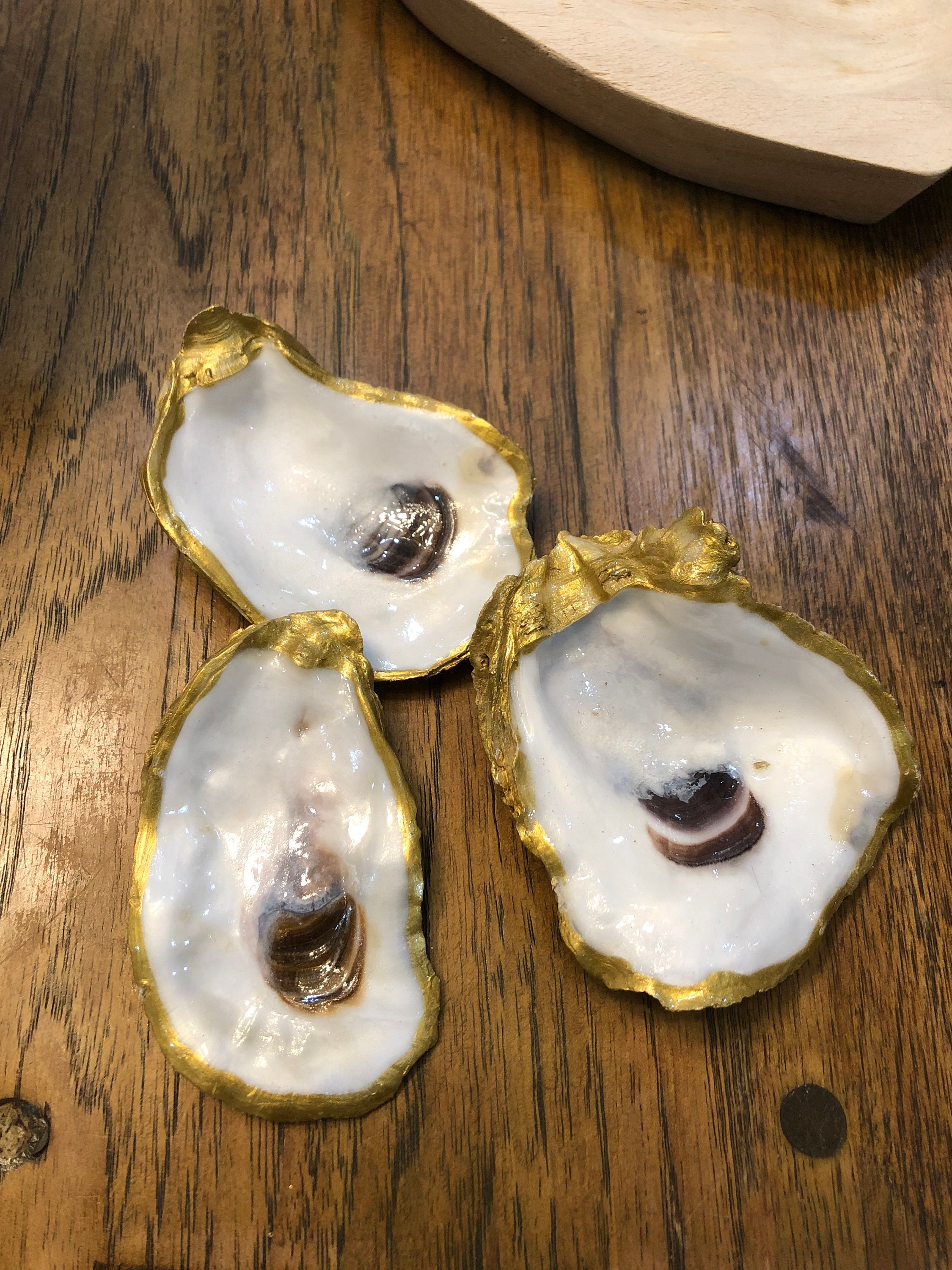Oyster Shell, Gilded Gold Oyster Shell, Lacquered Oyster Shell,oyster ...