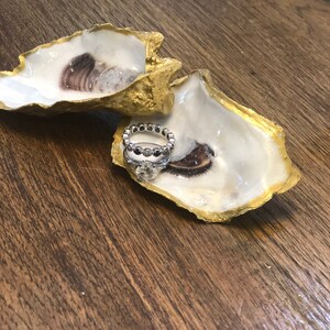 Bakers Dozen Gold Oyster Shell, 13 Gold Rimmed Oyster Shells - Etsy