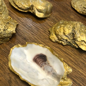 Bakers Dozen Gold Oyster Shell, 13 Gold Rimmed Oyster Shells - Etsy