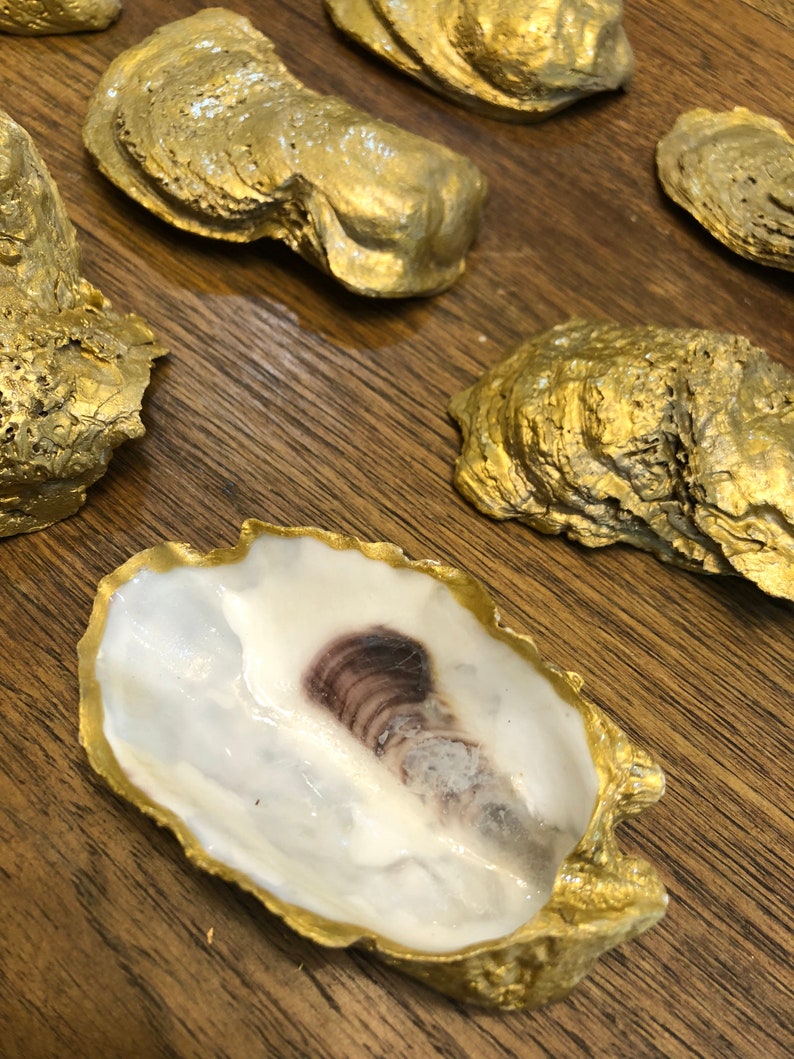 Bakers Dozen Gold Oyster Shell, 13 Gold Rimmed Oyster Shells - Etsy