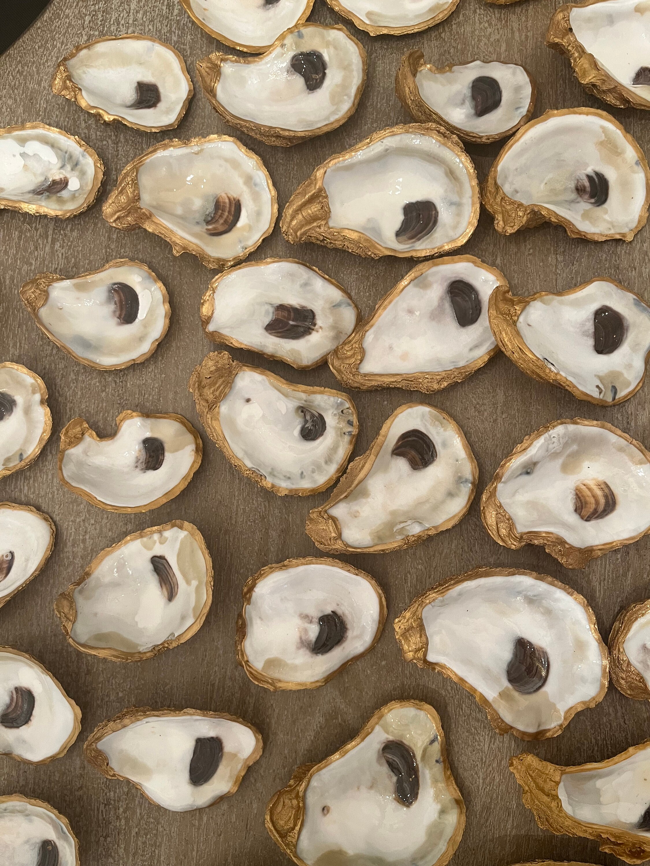 Bakers Dozen Gold Oyster Shell, 13 Gold Rimmed Oyster Shells - Etsy