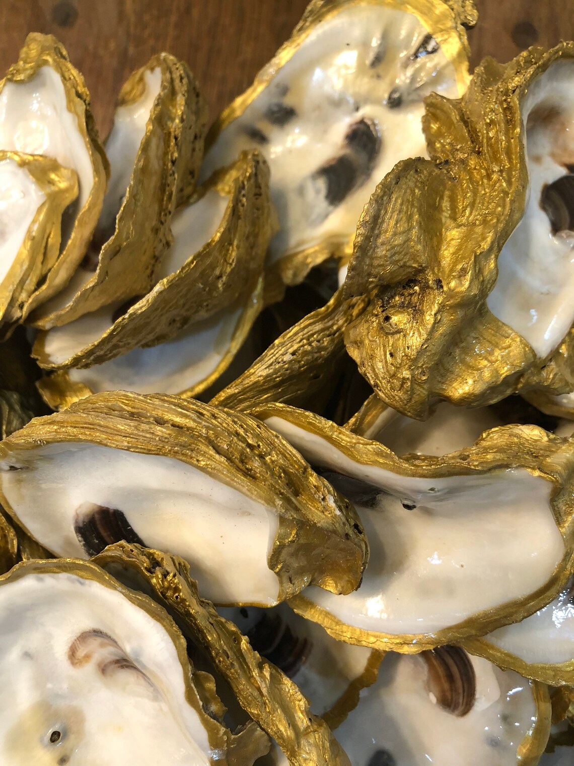 Bakers Dozen Gold Oyster Shell, 13 Gold Rimmed Oyster Shells - Etsy