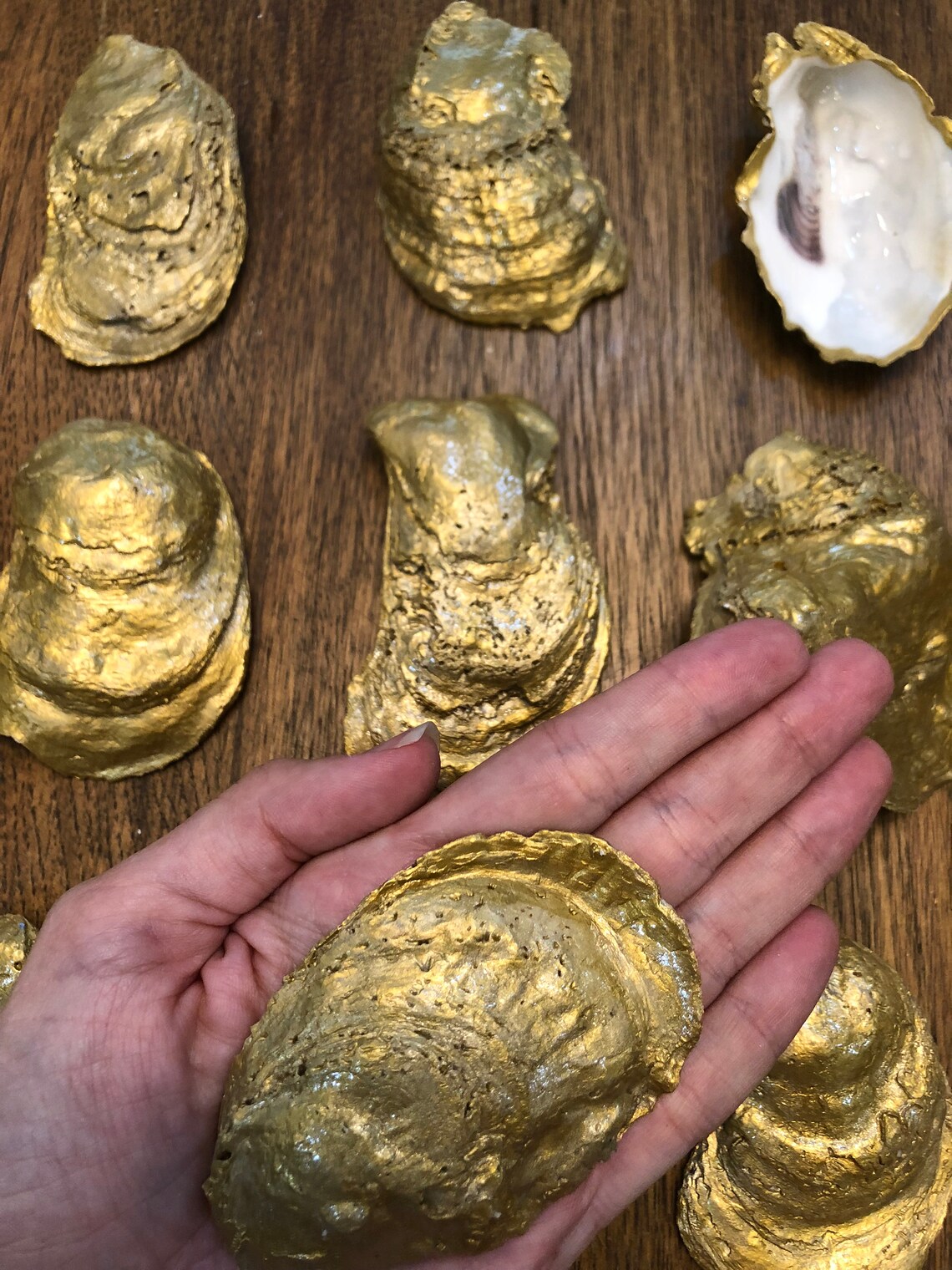 Bakers Dozen Gold Oyster Shell, 13 Gold Rimmed Oyster Shells - Etsy