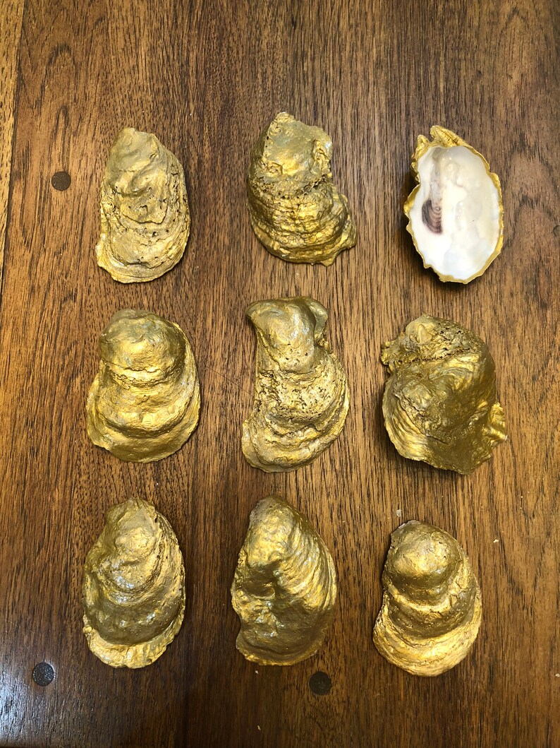 Oyster Shell, Gilded Gold Oyster Shell, Lacquered Oyster Shell,oyster ...