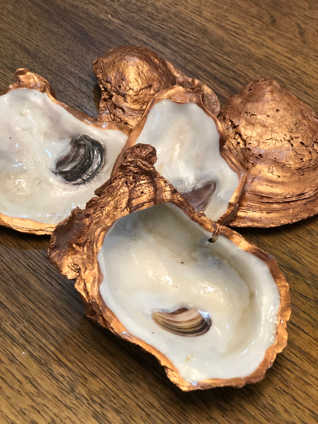Rose Gold Copper Oyster Shell - Etsy