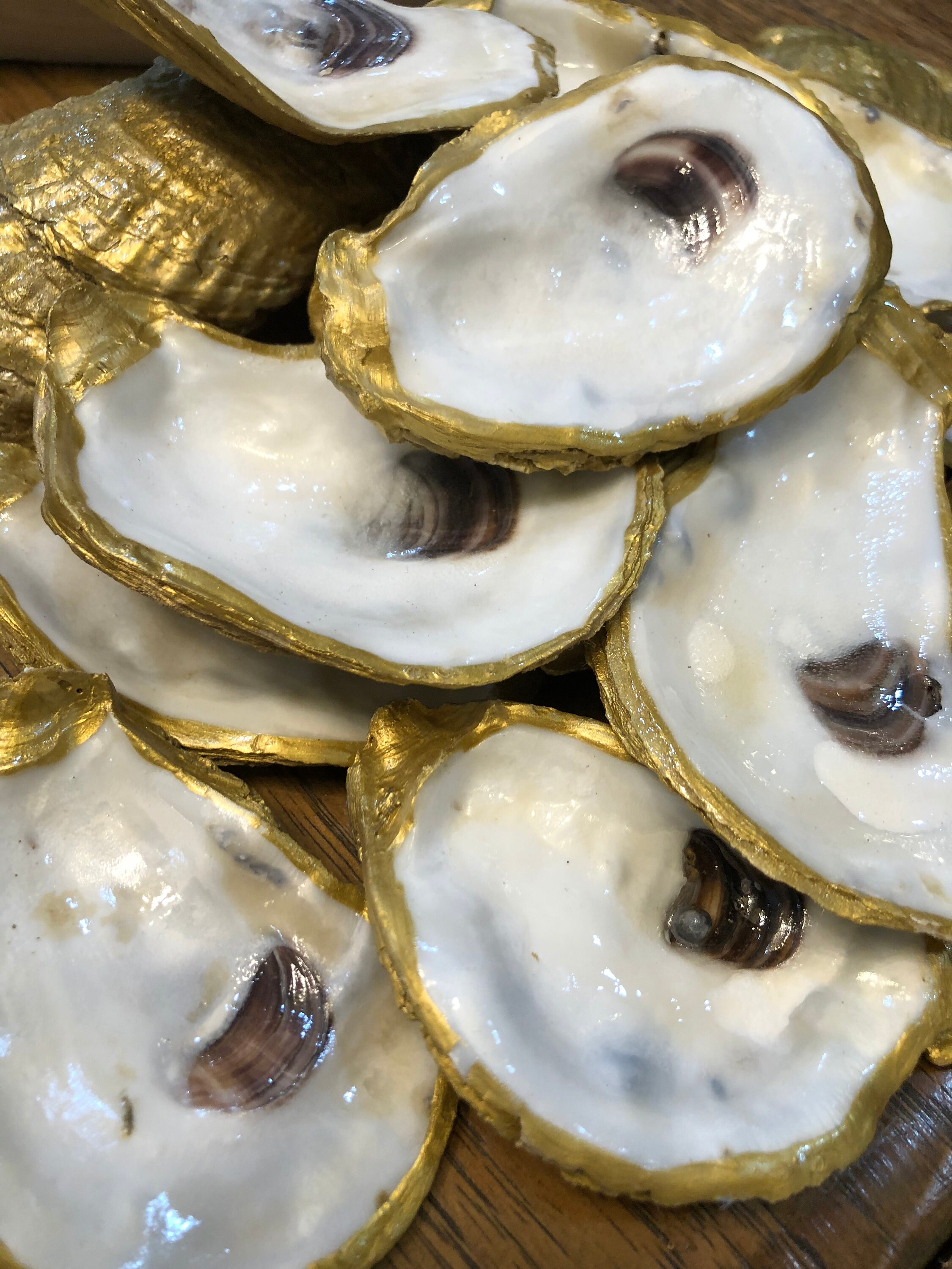 Oyster Shell, Gilded Gold Oyster Shell, Lacquered Oyster Shell,oyster ...