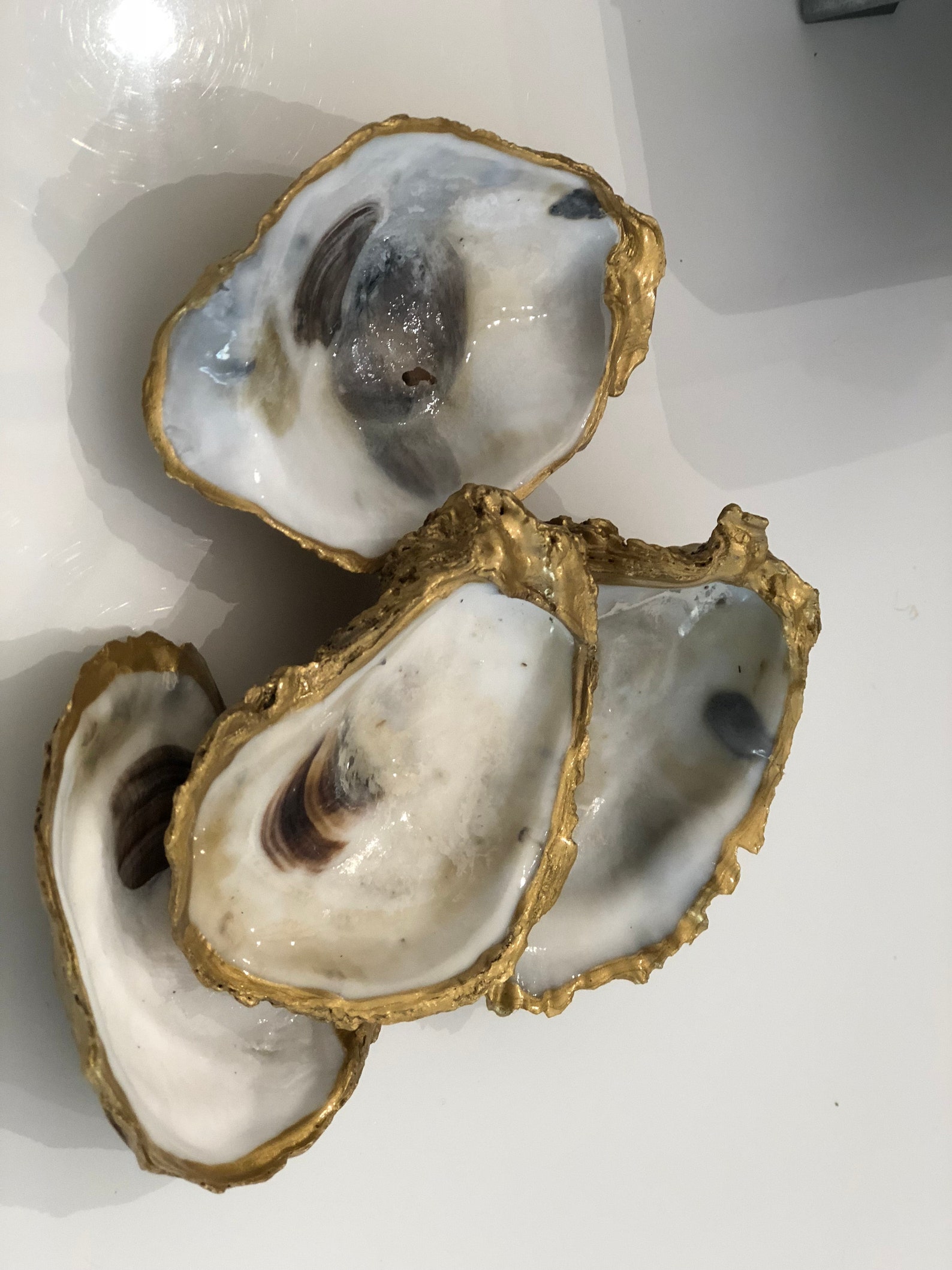 50 Gold Rimmed With Backs Painted, Laquered Oyster Shells - Etsy