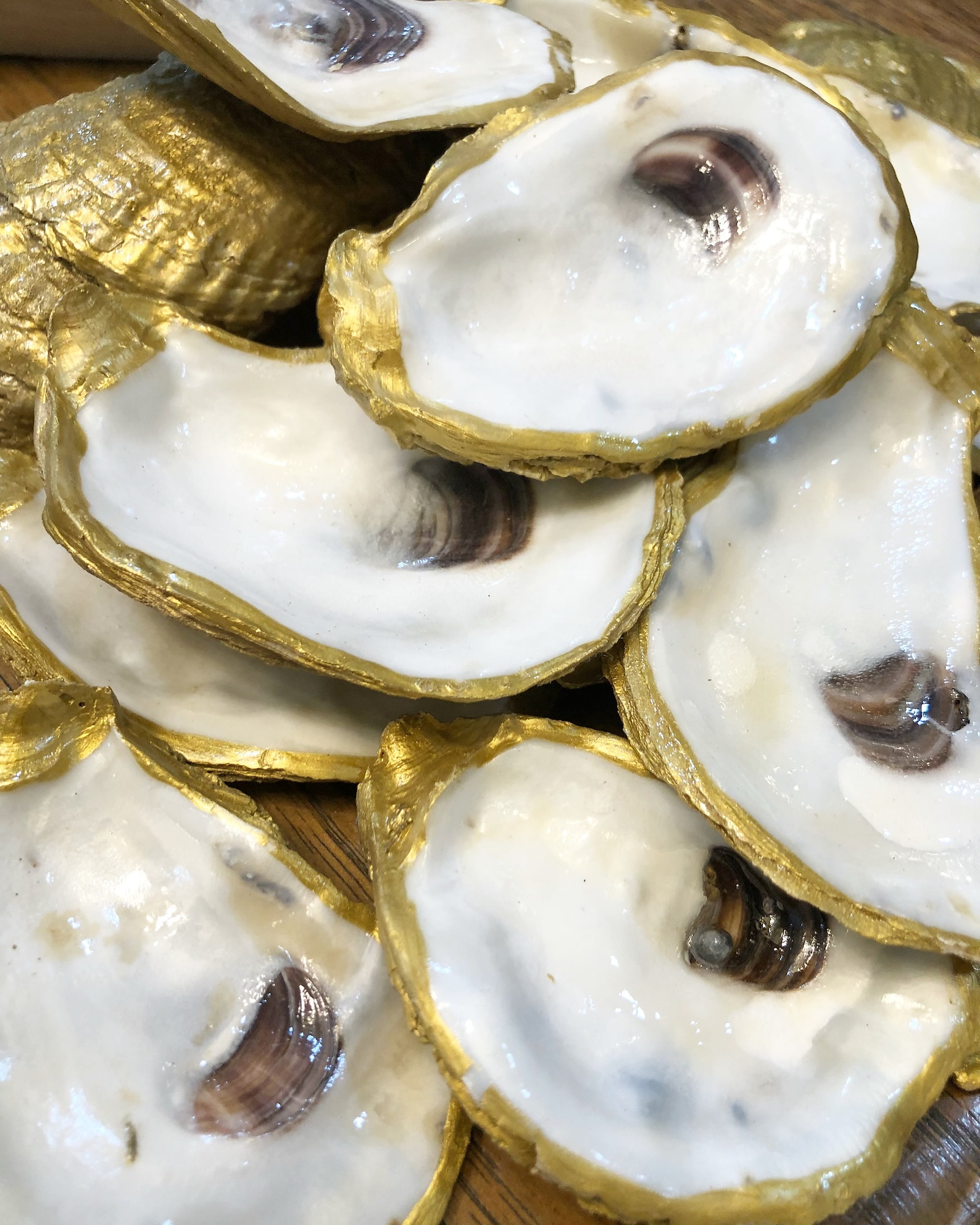 50 Gold Rimmed With Backs Painted, Laquered Oyster Shells - Etsy