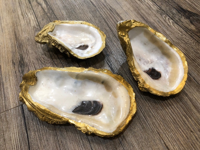 Oyster Shell Gilded Gold Oyster Shell Lacquered Oyster | Etsy