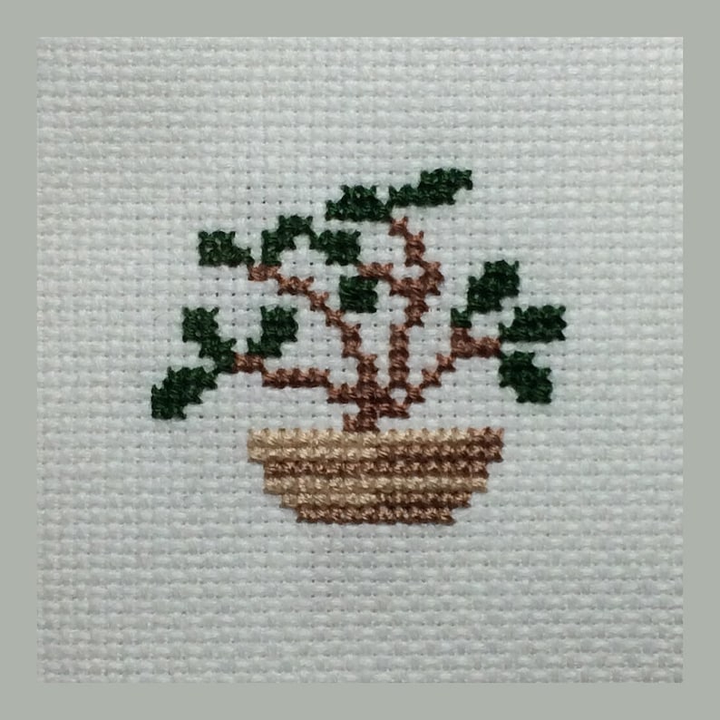 Plant Cross Stitch Pattern (digital Download - PDF) - Modern Plant ...