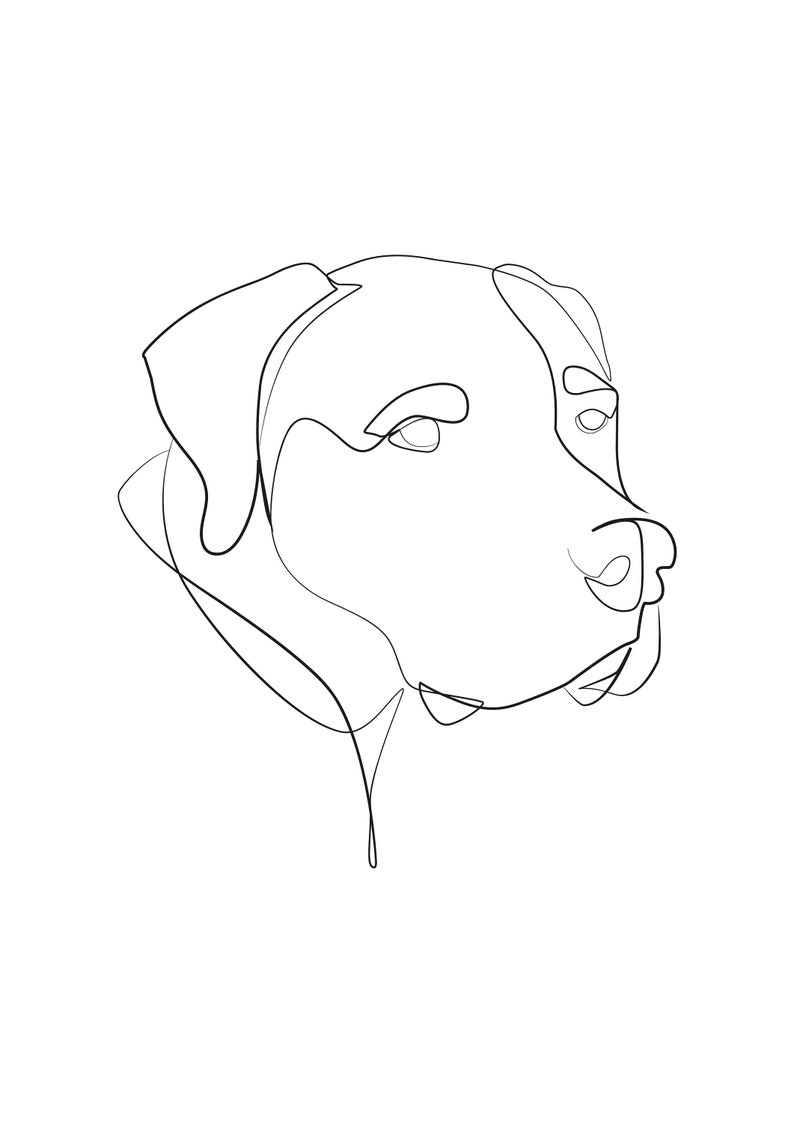 Dog Line Art Pet Line Drawing Custom Line Art Single Line - Etsy