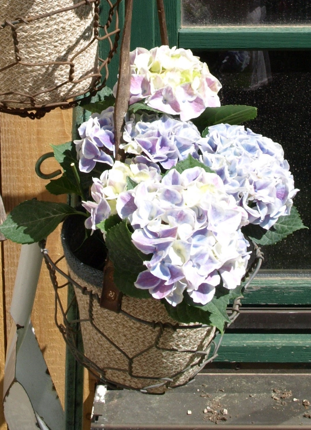 Old Muzzle Wire Basket Hanging Basket Hanging Basket Rust Metal Basket ...