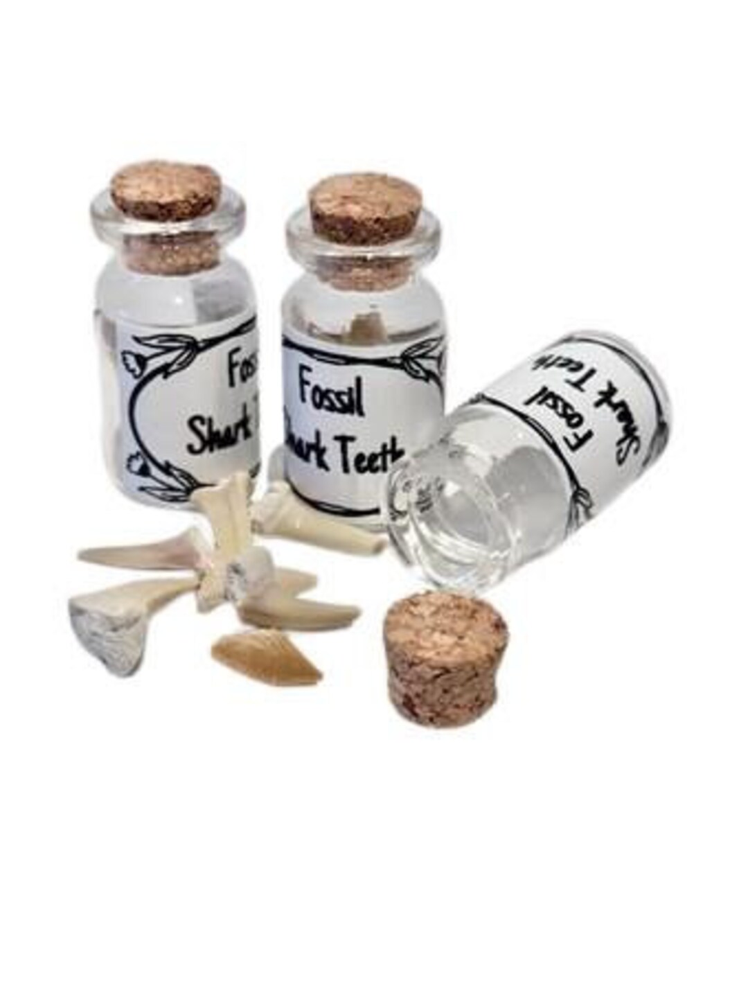 Shark Teeth, Shark Tooth, Apothecary, Wicca, Witchcraft, Sea Witch ...